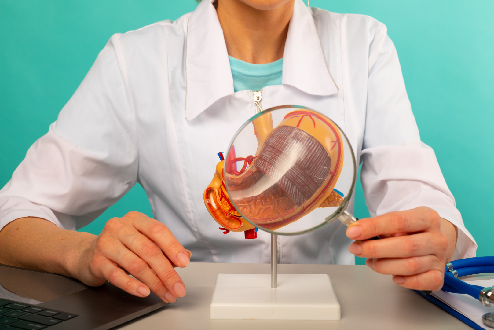 ¿Cómo me preparo para una endoscopía? - Clinica Andes Salud Puerto Montt